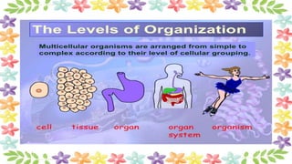 FROM CELL TO ORGANISM.pptx