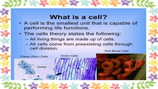FROM CELL TO ORGANISM.pptx