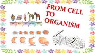 FROM CELL TO ORGANISM.pptx