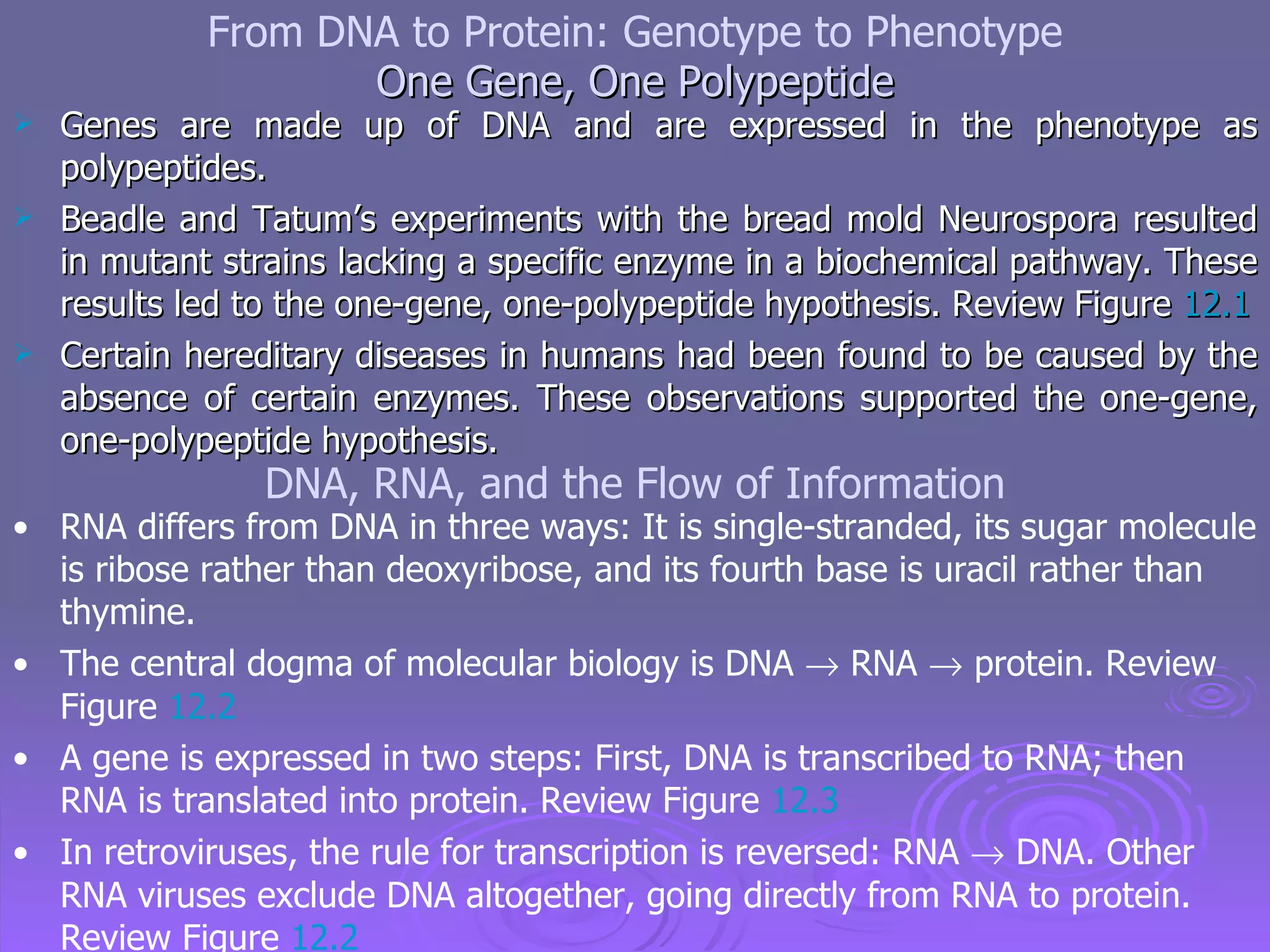 From dna to protein genotype to phenotype | PPT