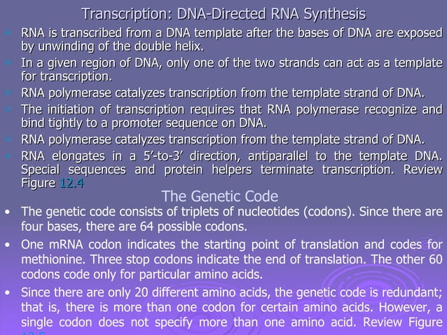 From dna to protein genotype to phenotype | PPT | Biological Sciences ...