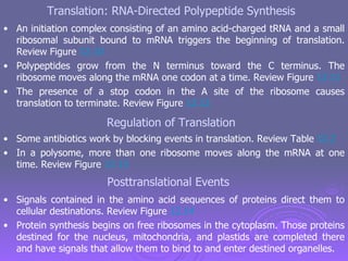 From dna to protein genotype to phenotype | PPT