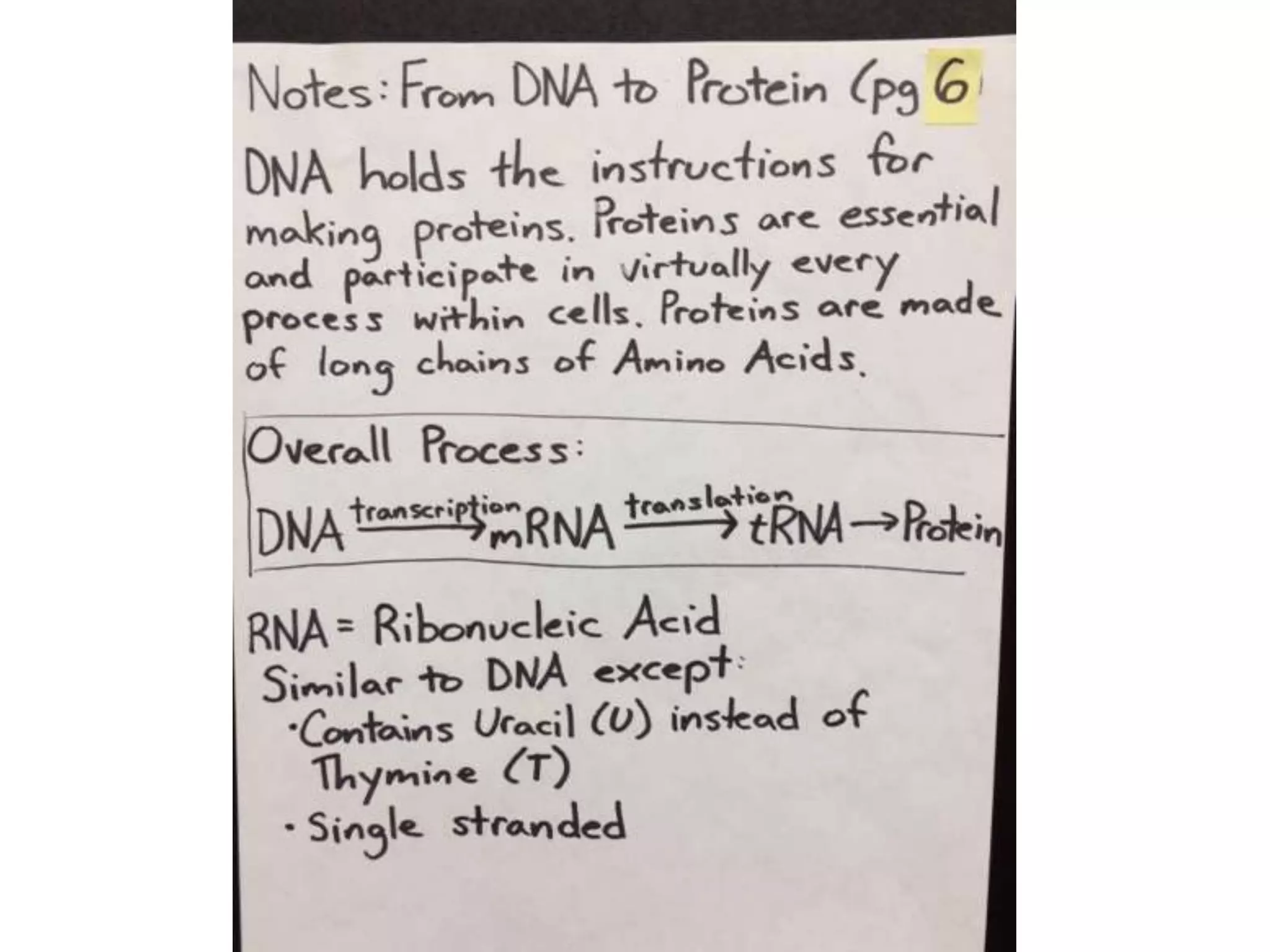 From dna to protein notes | PPT