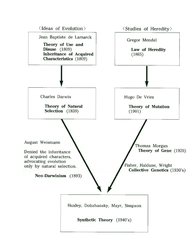From Theory of Evolution to a New Theory of Creation | PDF