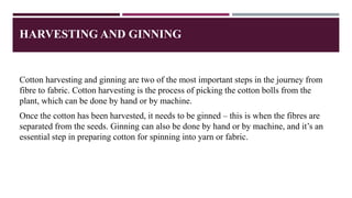 From Fibre To Fabric The Fascinating Journey Of Cotton From Fibre To ...