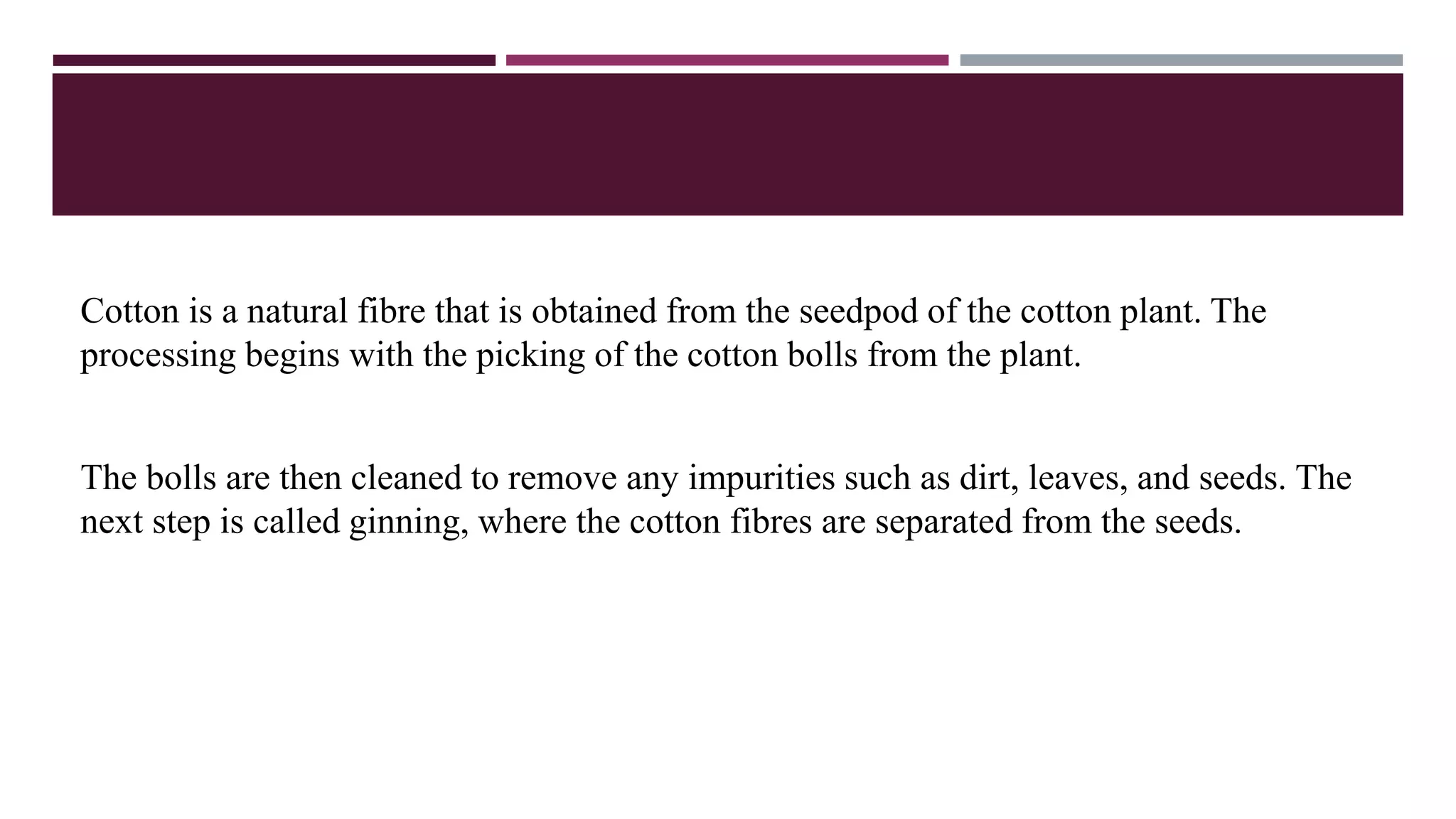 From Fibre To Fabric The Fascinating Journey Of Cotton From Fibre To ...
