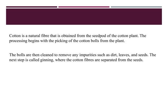 From Fibre To Fabric The Fascinating Journey Of Cotton From Fibre To ...