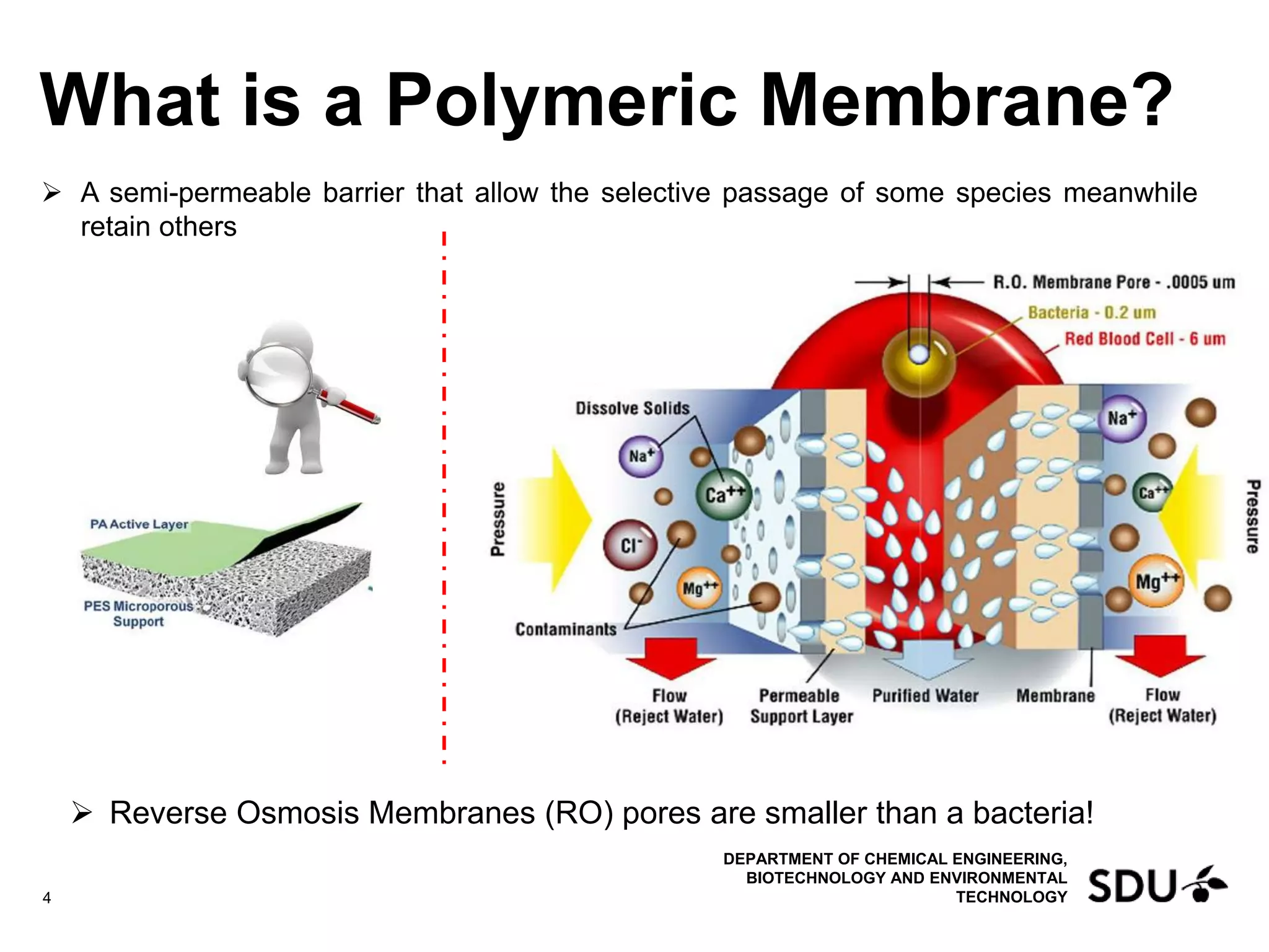From fossil to Biobased polymer in membrane technology v. Kelly Briceno ...