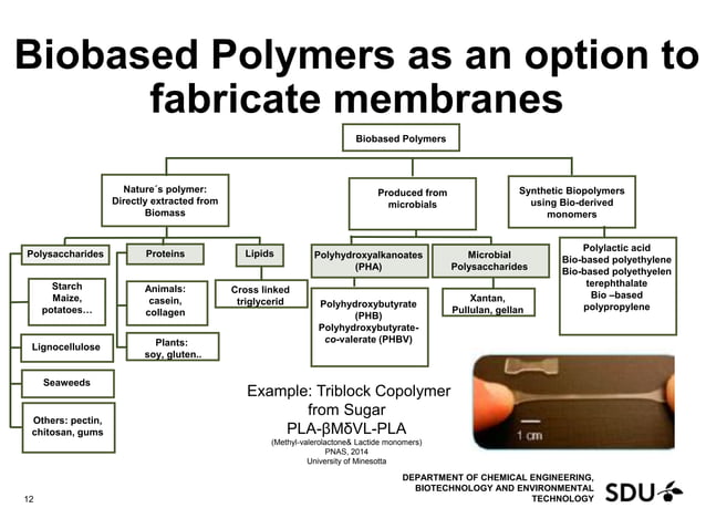 From fossil to Biobased polymer in membrane technology v. Kelly Briceno ...
