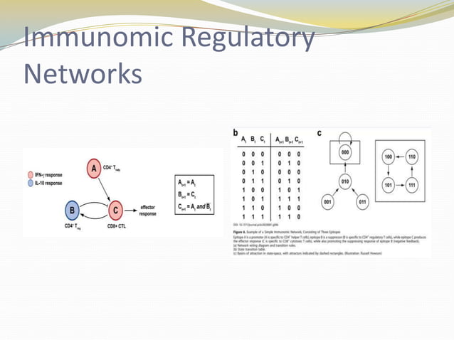 From functional genomics to functional immunomics | PPTX | Biological ...