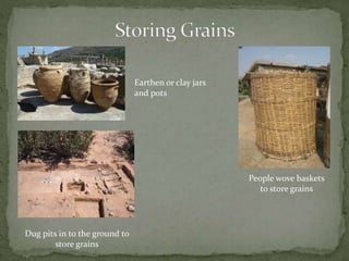 From gathering to growing food | PPTX