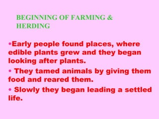 From Gathering to Growing Food | PPT