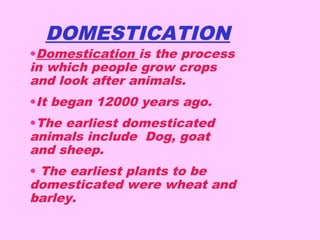 From Gathering to Growing Food | PPT