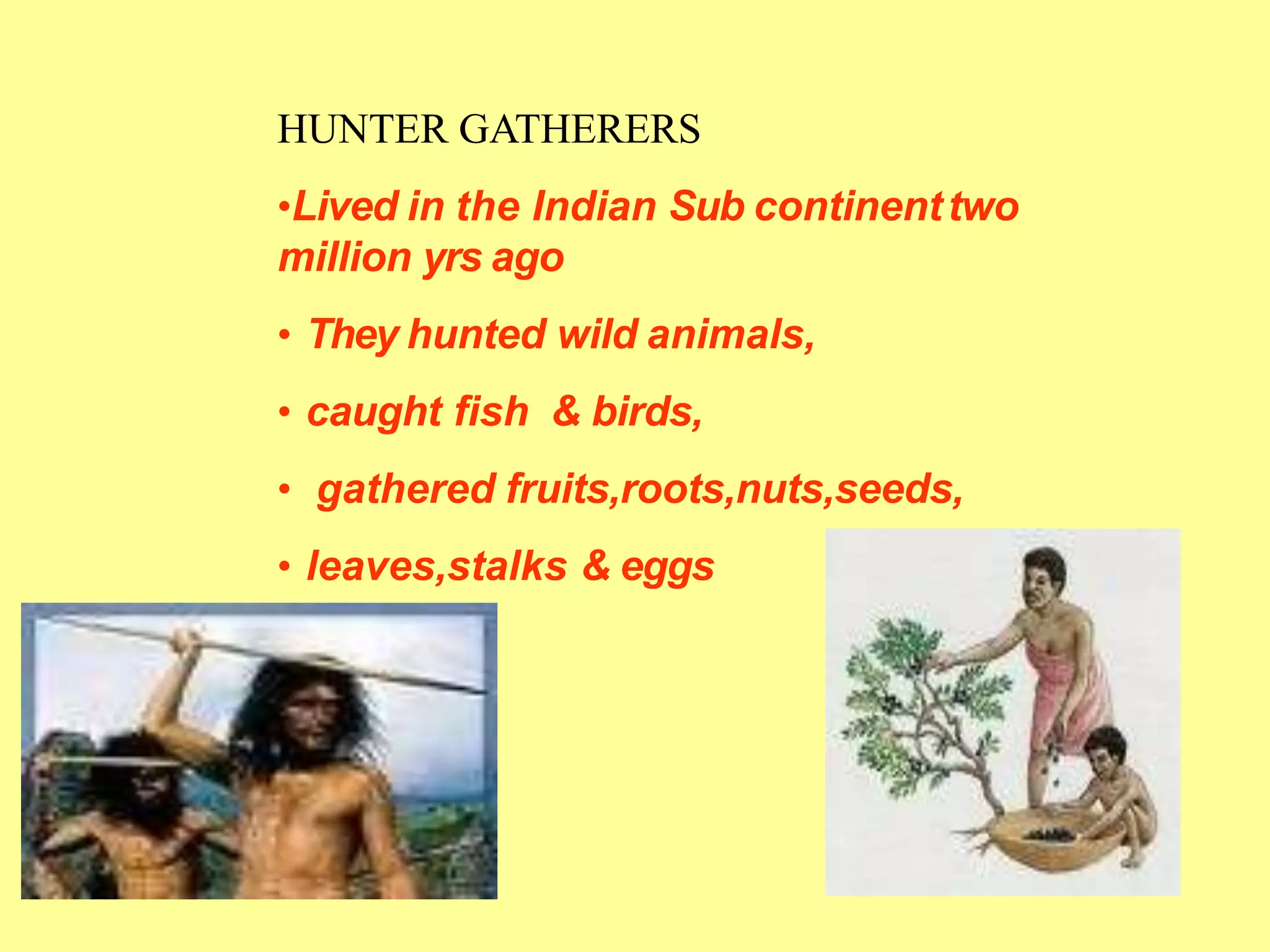 From hunting gathering to growing food.-PPT for class 6 history.pptx