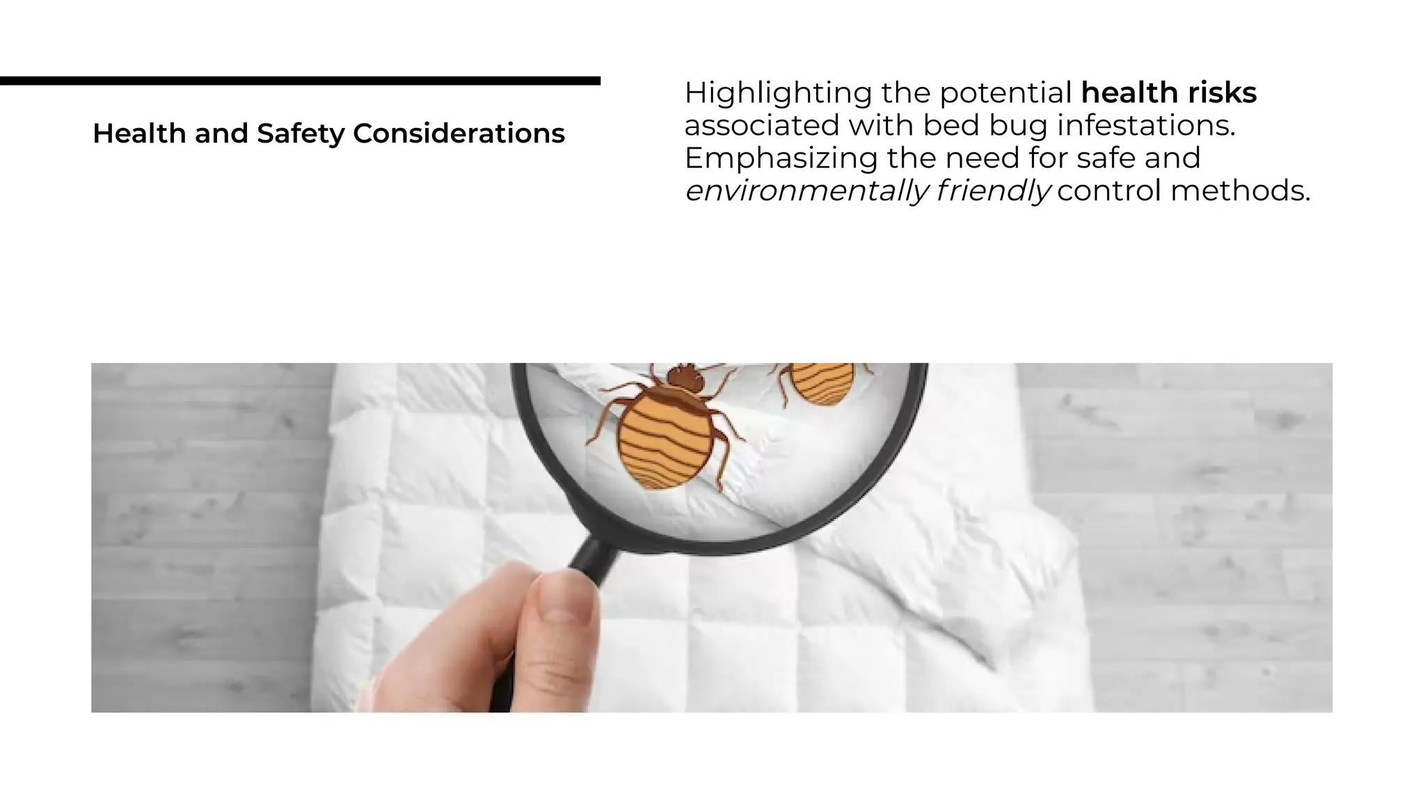 From Infestation to Liberation A Holistic Approach to Bed Bug Control.pdf