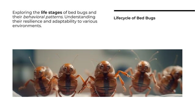 From Infestation to Liberation A Holistic Approach to Bed Bug Control.pdf