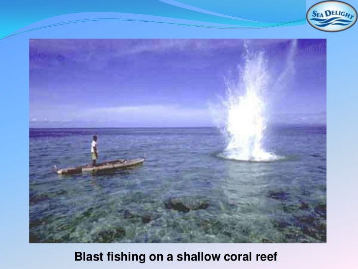 From IUU forward: Better Fishing Practice for Mixed Bottomfish Fishery