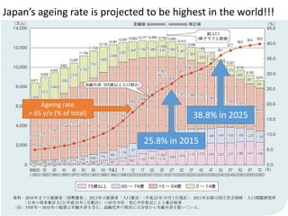 Ageing and Elderly Care Policy in Japan | PDF