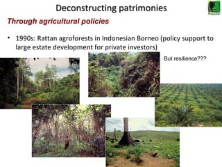 From local forests to the global forest: Resilience and involution of ...