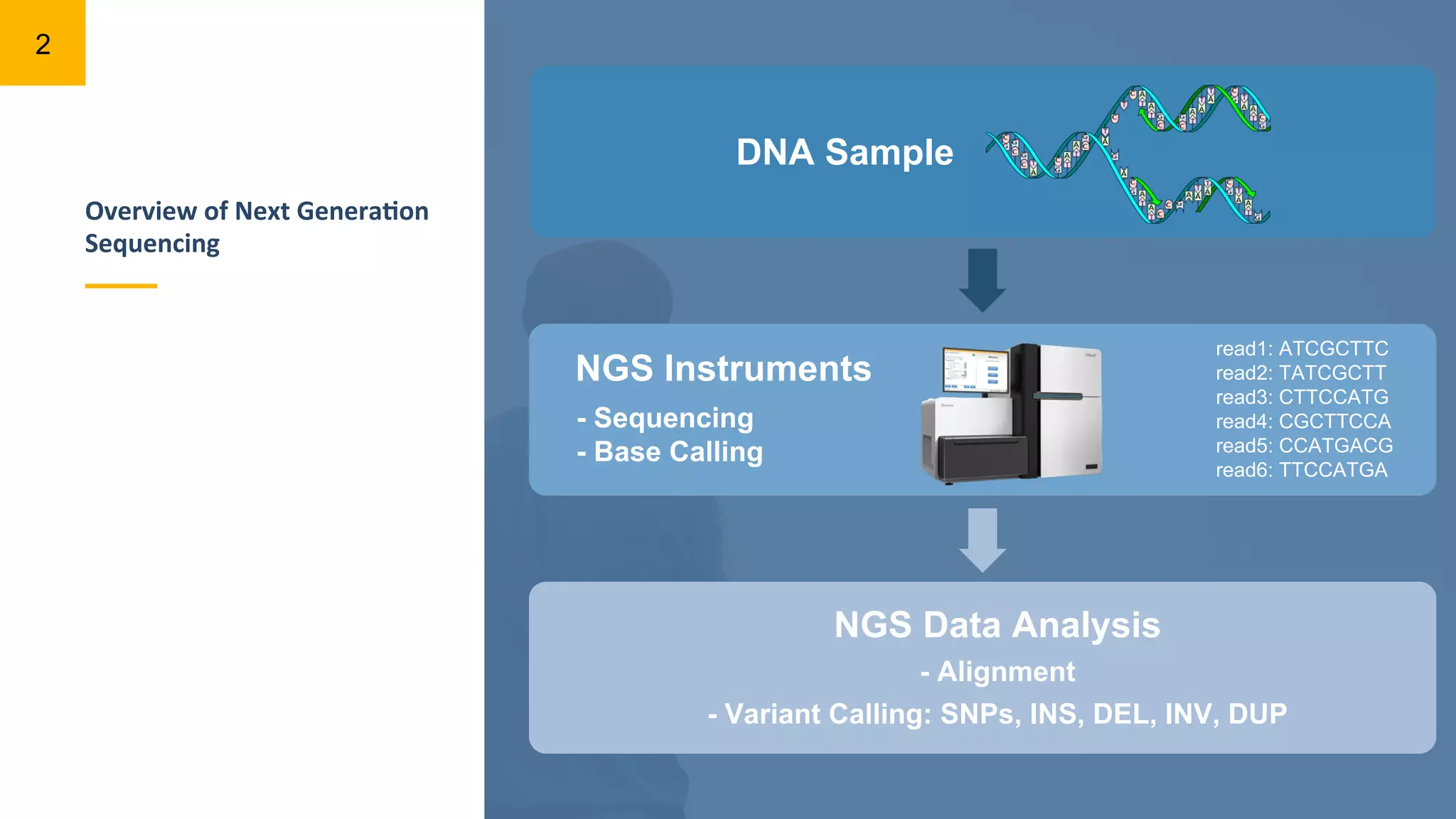 From NGS data to indels | PDF