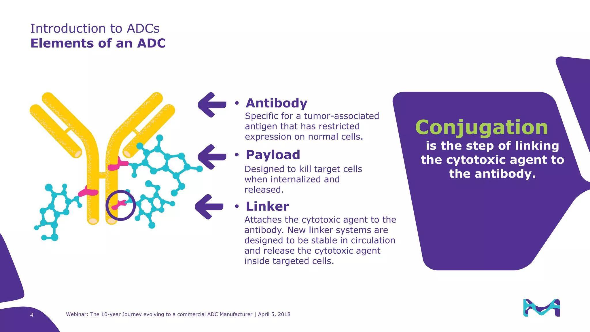 From preclinical to commercial: The evolution of ADC manufacturing ...