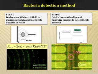 From Student Project to Market Place | PPTX