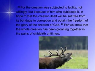 From Suffering To Glory - Romans 8:18-30 | PPTX