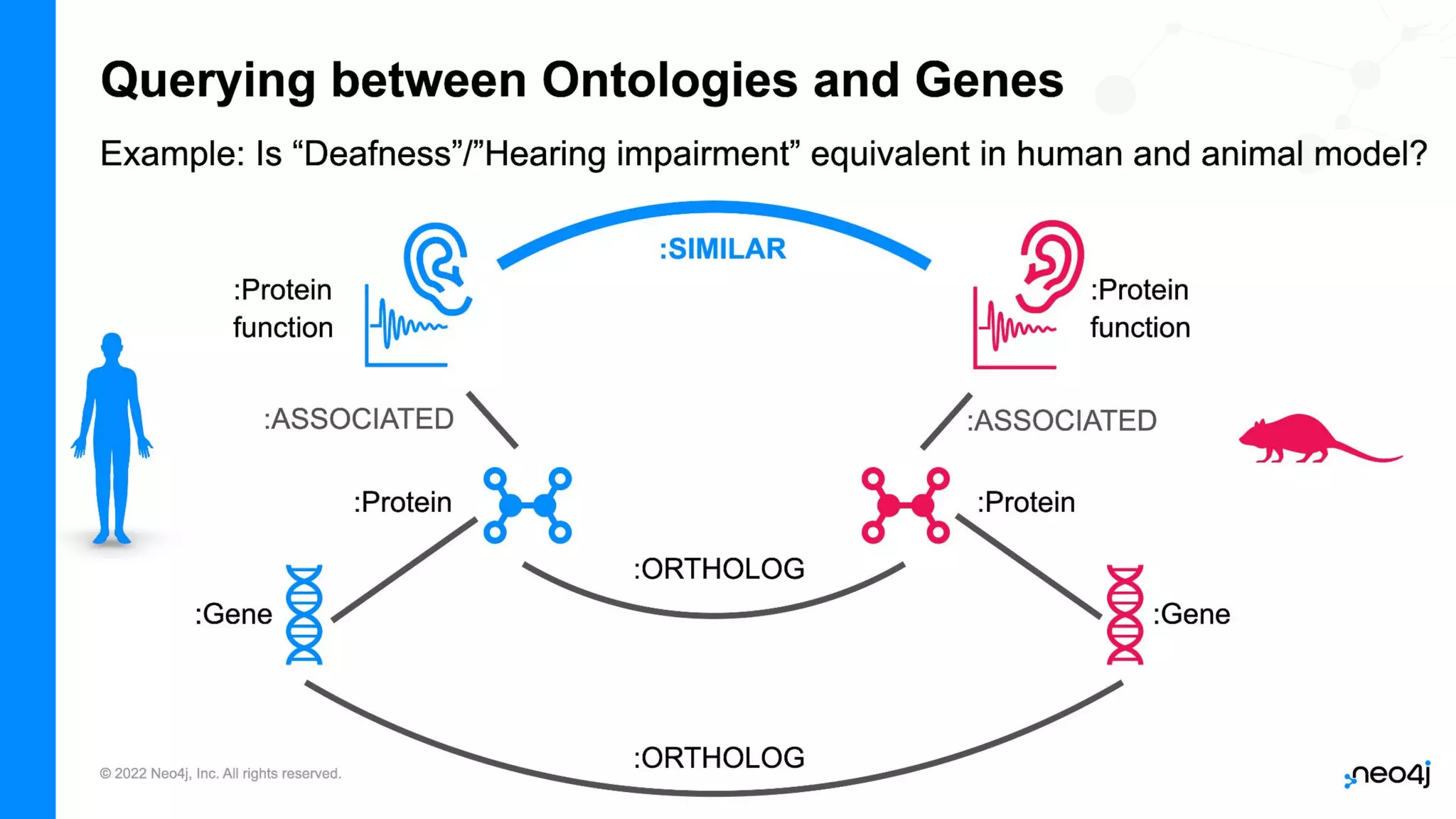 From Target to Product - Accelerating the Drug Lifecycle with Knowledge ...