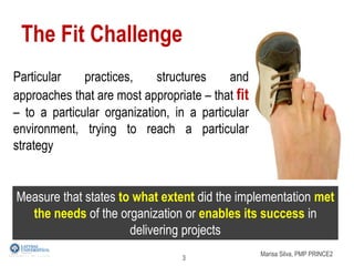 From Taylor to Tailoring - In Pursuit of the Organizational Fit | PDF