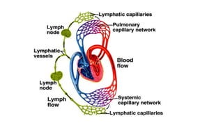 Nutrient Absorption From the blood to cells.pptx