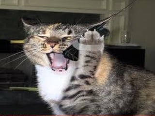 From tv to multiscreen advertising, introducing e grp | PPT | Marketing ...