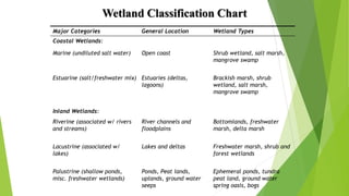 From wetland to waste land pptx | PPT