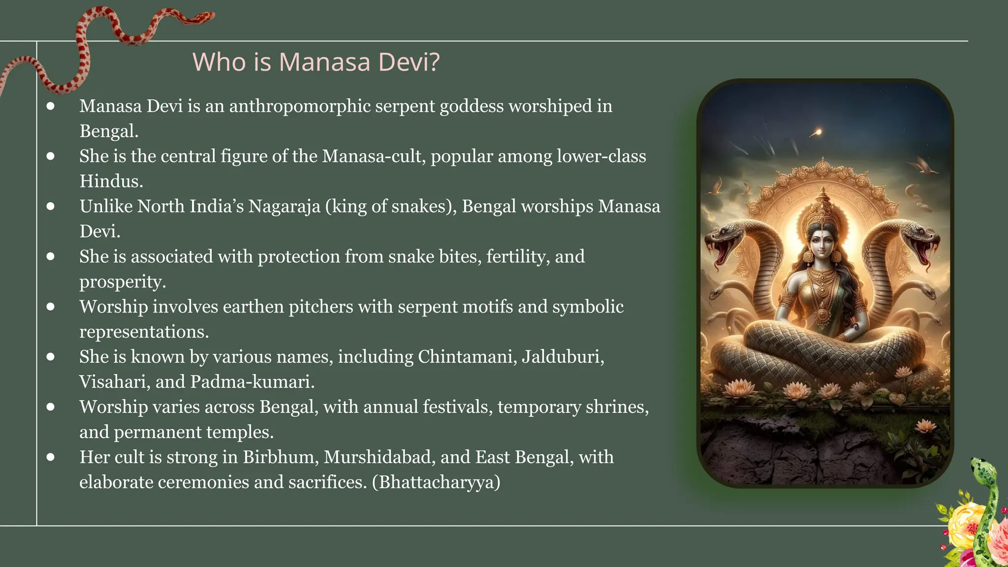 From Worship to Warning: Manasa Devi’s Journey from Religious Devotion ...