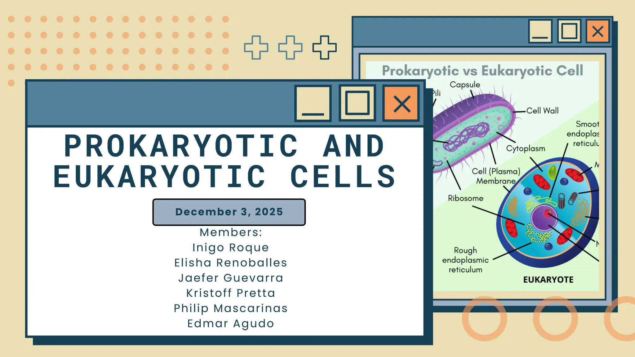 FILE PROKARYOTIC AND EUKARYOTIC CELLS.pdf