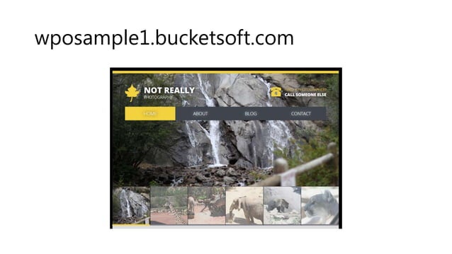 Front End Web Performance Optimization By Bucketsoft Ppt