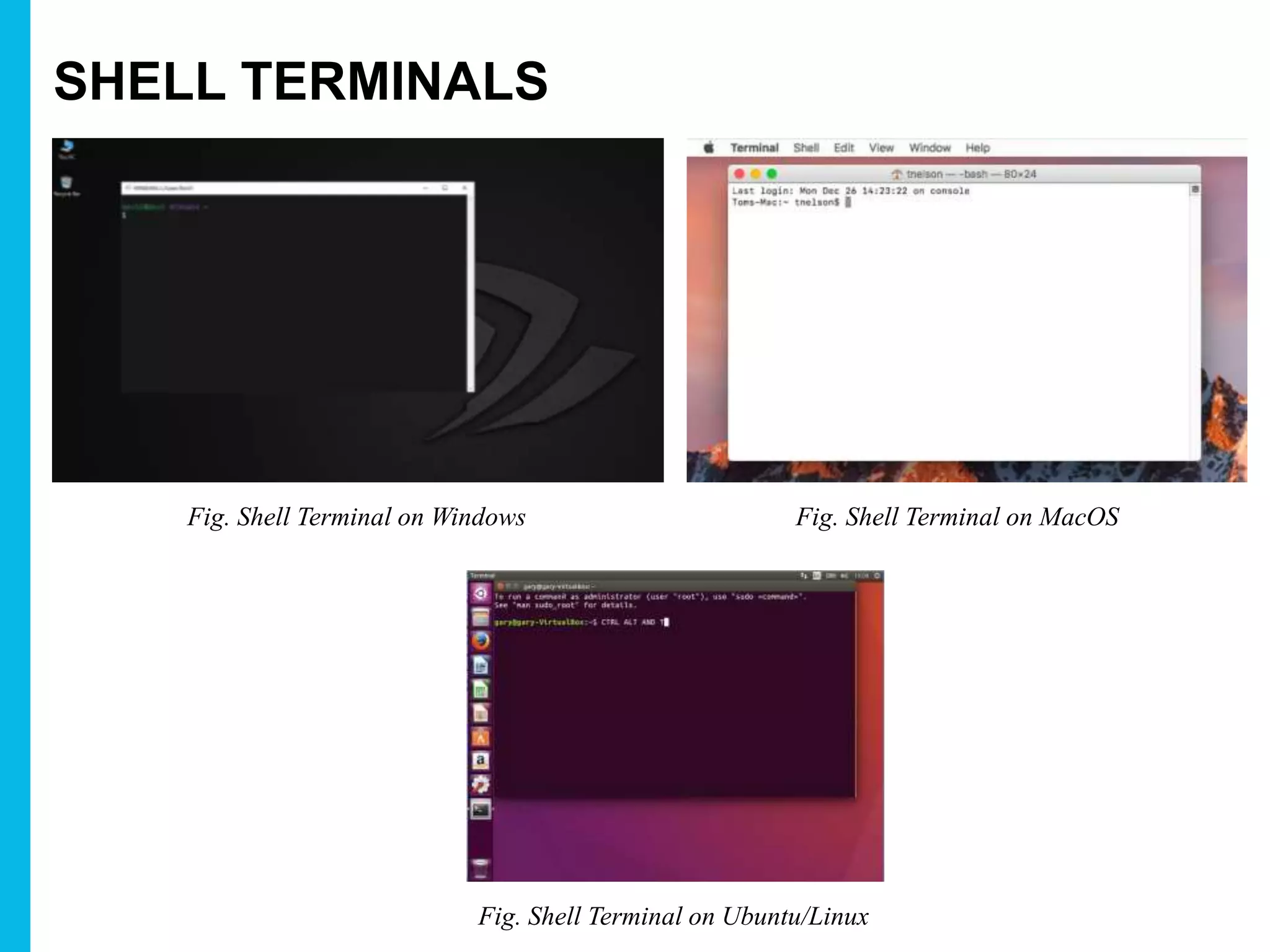 Front-End Web Development | PPTX
