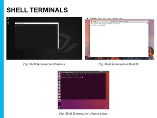 Front-End Web Development | PPTX