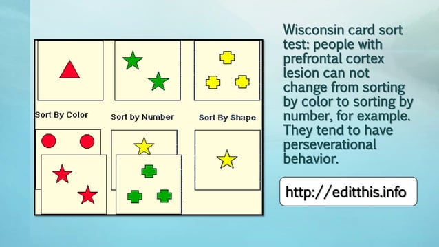 Frontal associational cortex | PPT