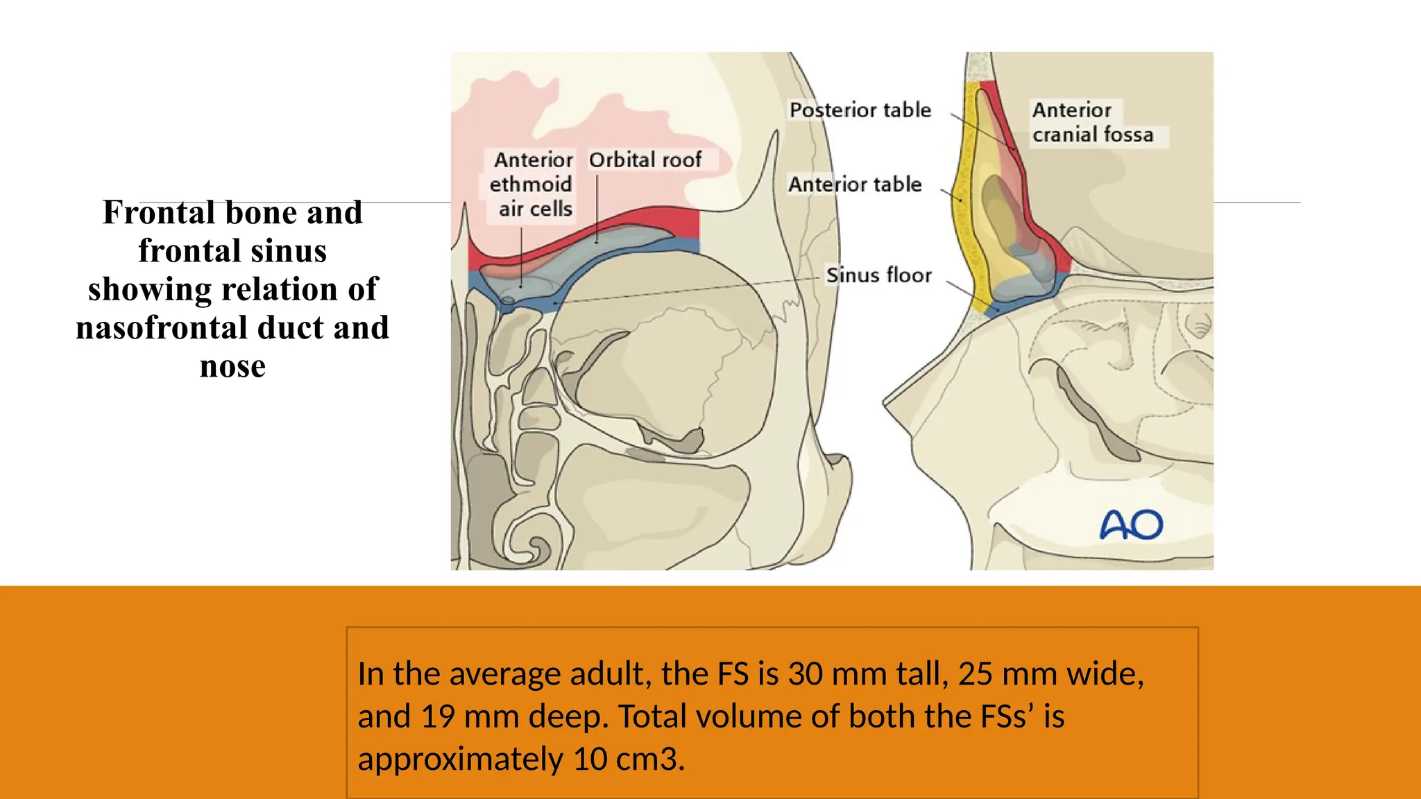 Frontal_bone_fracture Managment, Maxillofacial and Neuro Trauma[.pptx