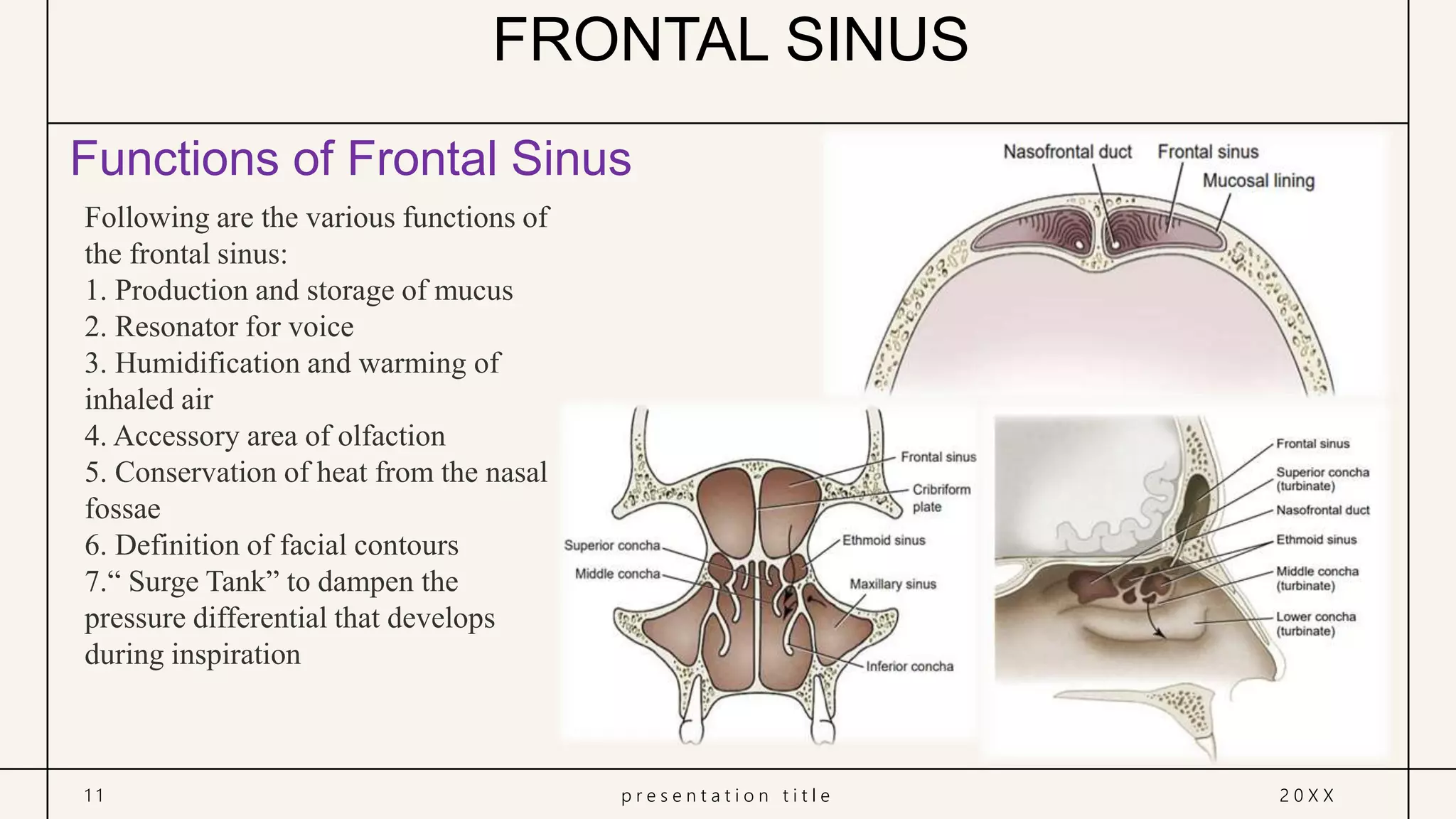 FRONTAL BONE FRACTURE AND ITS MANAGEMENT.pptx