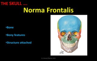 Norma Frontalis | PPTX