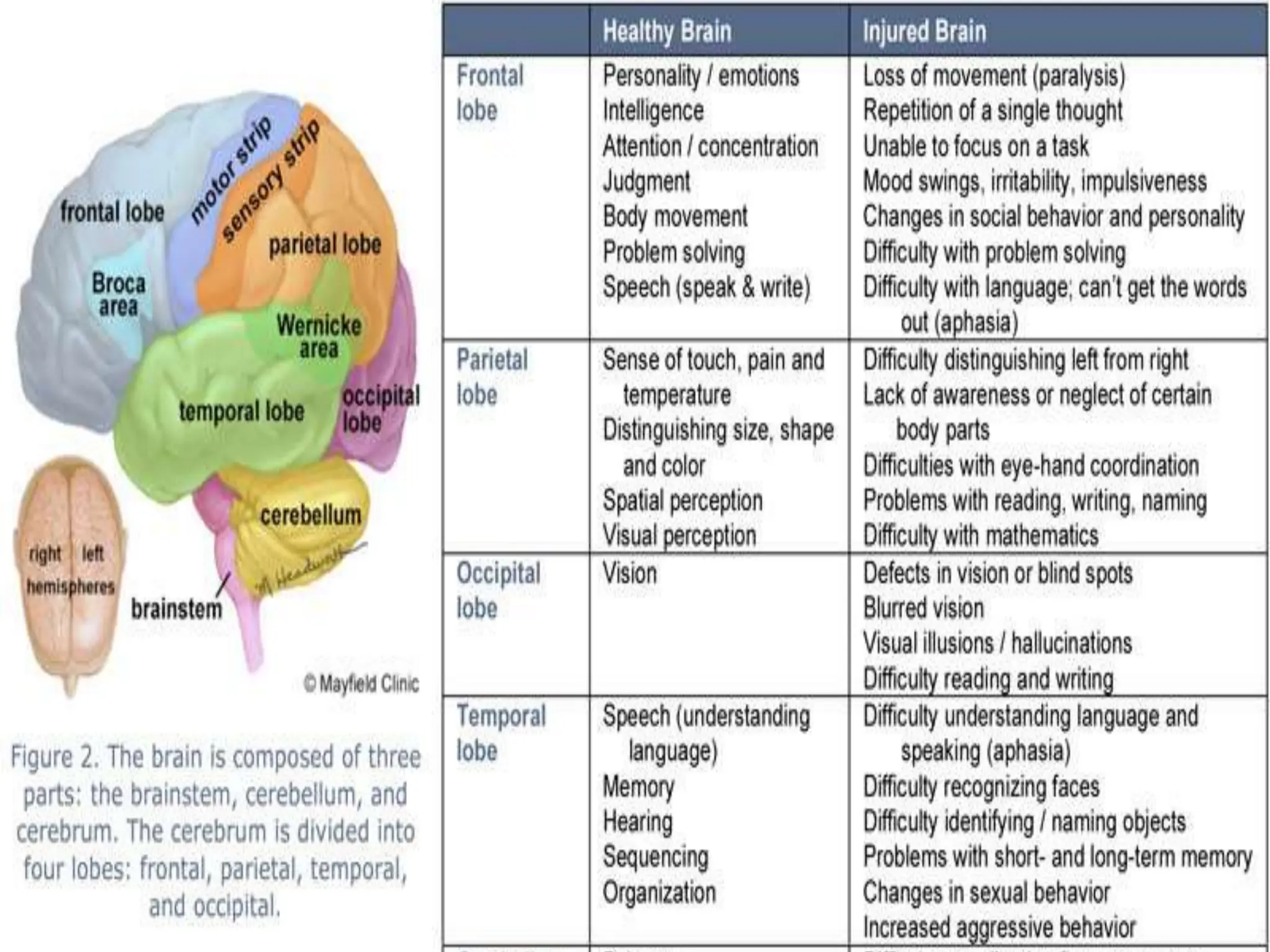 Frontal Lobar Function tests.pptx