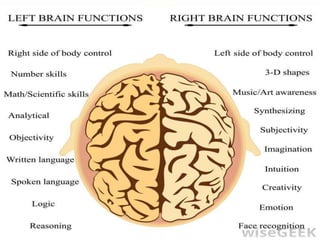 Frontal Lobar Function tests.pptx