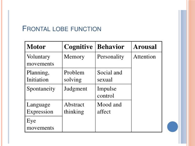 Anatomy and physiology of the FRONTAL LOBE- | PPT