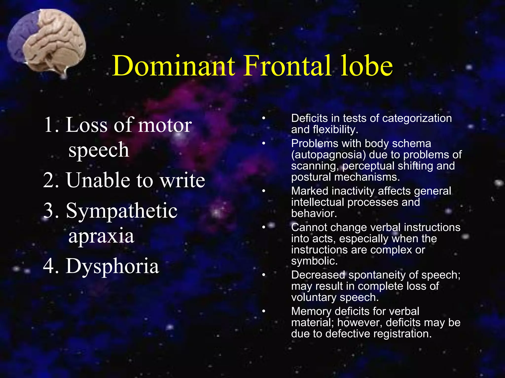 Frontal lobe | PPT