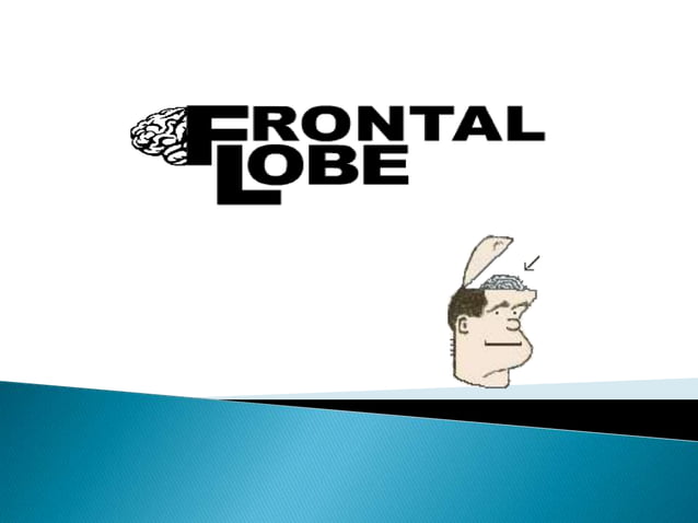 Frontal lobe and its functions | PPTX
