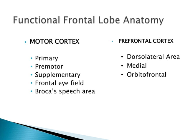 Frontal lobe and its functions | PPTX