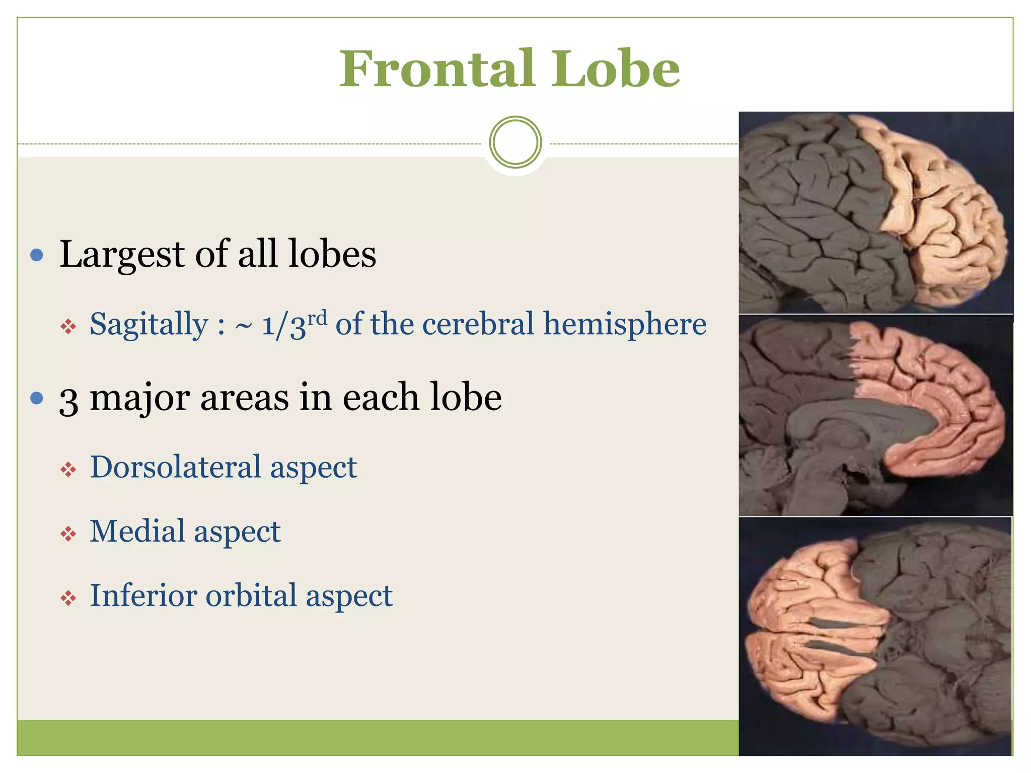 Frontal lobe | PPTX