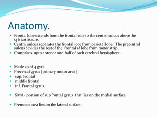 Frontal lobe | PPTX