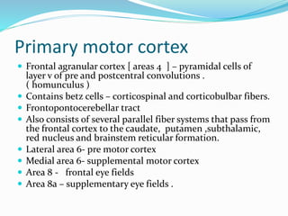 Frontal lobe | PPTX